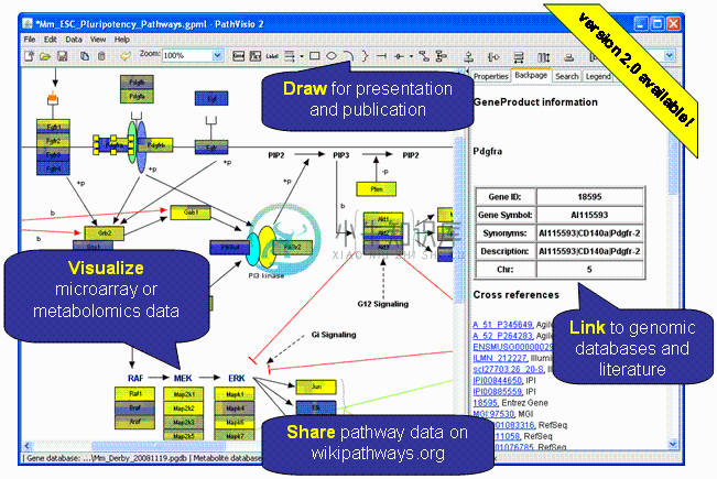 PathVisio官网、案例、教程、文档、下载 - 生物信息学工具 - 工具软件 - 小牛知识库